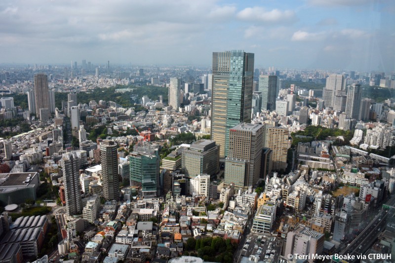 Pacific Tower Roppongi - The Skyscraper Center